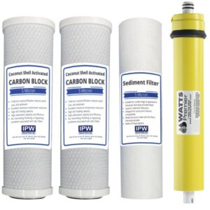 Watts Replacement Water Filters for WP-4V Reverse Osmosis System w/ 36 GPD Membrane 560016