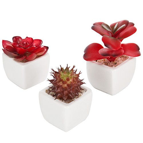 MyGift Assorted Artificial Red Succulent Plants, Mini Fake Desert Plants in White Square Pots, Set of 3