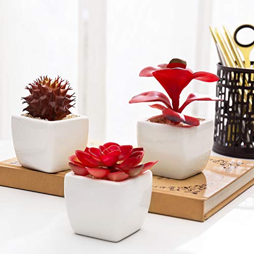 MyGift Assorted Artificial Red Succulent Plants, Mini Fake Desert Plants in White Square Pots, Set of 3