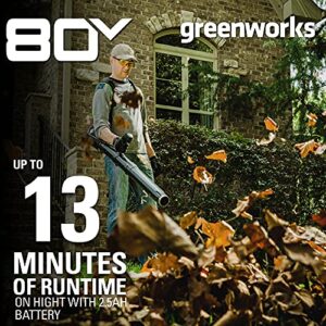 Greenworks 80V (180 MPH / 610 CFM / 75+ Compatible Tools) Cordless Brushless Backpack Blower, 2.5Ah Battery and Rapid Charger Included