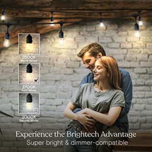 Brightech Ambience Pro - Waterproof LED Outdoor String Lights - 7 Hanging, 2W Dimmable Vintage Edison Bulbs, 24 Ft Commercial Grade Patio Lights Create Cafe Christmas Ambience in Your Backyard