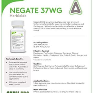 Quali-Pro Negate 37WG Herbicide