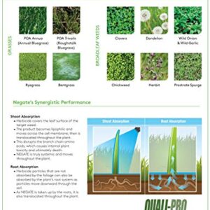 Quali-Pro Negate 37WG Herbicide