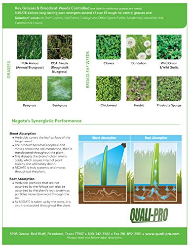 Quali-Pro Negate 37WG Herbicide