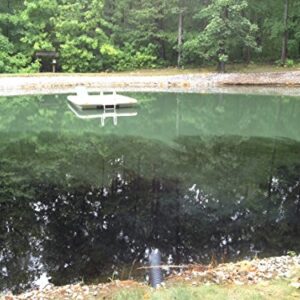 Pond Champs Black Lake & Pond Dye – One Gallon of Deep Black Pond Colorant – Treats 1 Acre – Keeps Pond Safe from UV Rays - Safe for Fish, Wildlife, Pets & Children