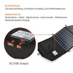 TalentCell 21W Foldable Solar Panel Charger with DC 18V and 5V USB Output for Charging All Types of 12V Rechargeable Batteries and Most 5V Devices