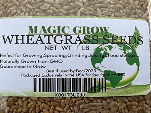 Wheat Grass Seed 1lb - Guaranteed to Grow