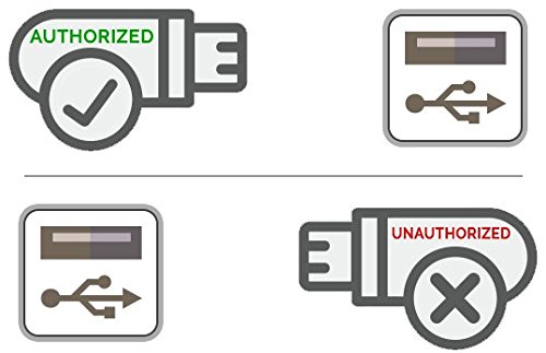 USBInformer®️ Starter kit with 50 Licenses and Server - Prevent threats from USB Devices