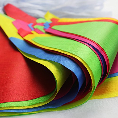 250pcs Multicolor Pennant Flags,LOOBJOYGAME 263Ft Nylon Fabric Decorations Grand Opening Banner Rope