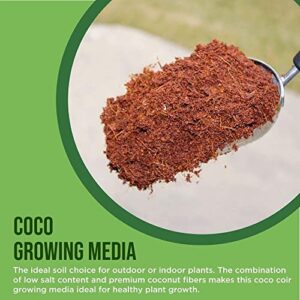 Envelor Coco Coir Chips Orchid Potting Mix 10 Lb Brick Mulch Potting Soil Indoor Plant Planting Chips Coconut Fiber Substrate Orchid Bark Growing Media Coir Husk Chips Compressed Coconut Coir