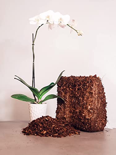 Envelor Coco Coir Chips Orchid Potting Mix 10 Lb Brick Mulch Potting Soil Indoor Plant Planting Chips Coconut Fiber Substrate Orchid Bark Growing Media Coir Husk Chips Compressed Coconut Coir