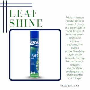 Chrysal Leaf Shine Spray for Indoor Plants (15 Ounce 1 Pack)