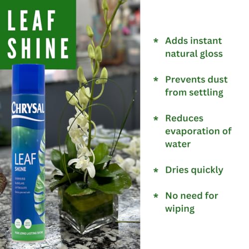 Chrysal Leaf Shine Spray for Indoor Plants (15 Ounce 1 Pack)