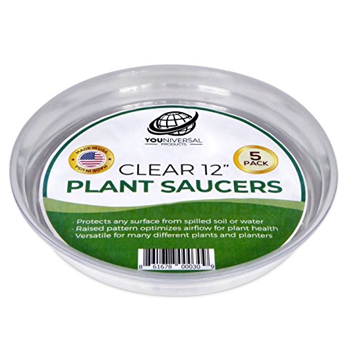 Clear Plant Saucers - 12 Inch - Excellent For Indoor & Outdoor Plants (5 Pack)