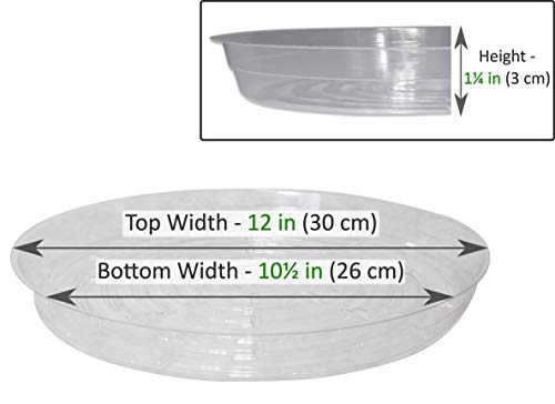 Clear Plant Saucers - 12 Inch - Excellent For Indoor & Outdoor Plants (5 Pack)