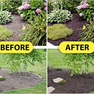 MulchWorx Black Mulch Color Concentrate- Quart - Treats 2,800 Sq. Ft. - Pure Midnight Black Mulch Dye Spray