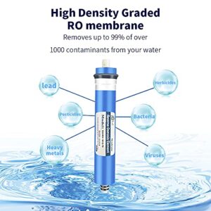 Huining Reverse Osmosis Membrane RO Membrane Housing Kit with 1/4 Quick Connector,Check valve,Water Pipe,Wrench Whole Set for Residential Household Hospital Water Filtration System (75GPD)