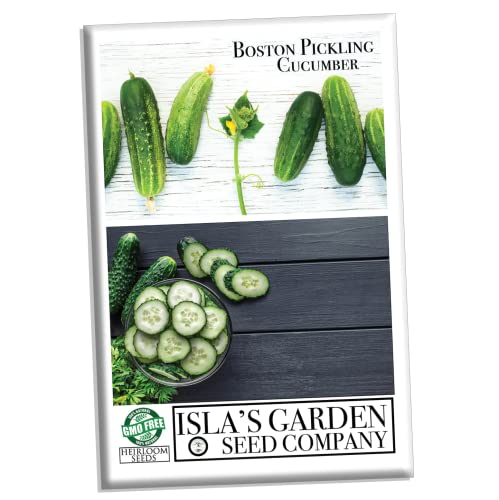 Boston Pickling Cucumber Seeds for Planting - 100+ Heirloom Seeds Per Packet, (Isla's Garden Seeds), Non-GMO Seeds, Botanical Name; Cucumis Sativus, Boston Seeds Great Home Garden Gift