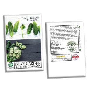 Boston Pickling Cucumber Seeds for Planting - 100+ Heirloom Seeds Per Packet, (Isla's Garden Seeds), Non-GMO Seeds, Botanical Name; Cucumis Sativus, Boston Seeds Great Home Garden Gift