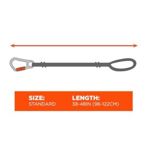 Ergodyne Squids 3100F(x) Tool Lanyard, Shock Absorbing with Self-Locking Carabiner and Loop End, Tool Weight Capacity 10lbs , Standard , Gray