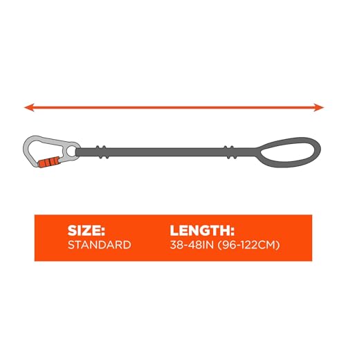 Ergodyne Squids 3100F(x) Tool Lanyard, Shock Absorbing with Self-Locking Carabiner and Loop End, Tool Weight Capacity 10lbs , Standard , Gray