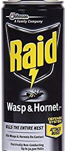 Raid Wasp Hornet Killer Spray (14 Ounce (Pack of 1)