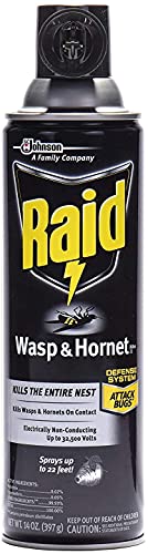 Raid Wasp Hornet Killer Spray (14 Ounce (Pack of 1)