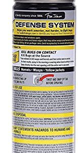 Raid Wasp Hornet Killer Spray (14 Ounce (Pack of 1)