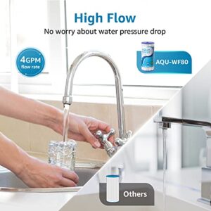 AQUACREST FXHSC Whole House Water Filter, Replacement for GE® FXHSC, GXWH40L, GXWH35F, American Plumber W50PEHD, W10-PR, Culligan® R50-BBSA, 5 Micron, 10" x 4.5", High Flow Sediment Filters, Pack of 2