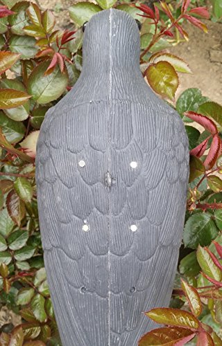 ZILIN Plastic Crow Decoy with Magnet, Ideal for Crow Control