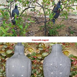 ZILIN Plastic Crow Decoy with Magnet, Ideal for Crow Control