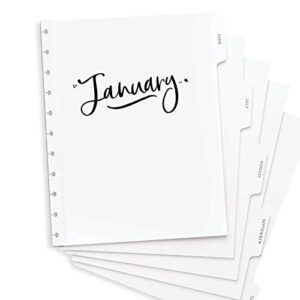 BetterNote 2024 Monthly Calendar Refill with Tabbed Dividers for Discbound Notebooks, Index Tabs, Disc, Pages Fit Happy Planner, Circa Levenger, Arc, TUL, IWP, Talia (Whimsy, 11-Disc, 8.5"x11")