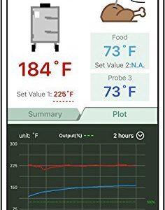 WiFi Electric Smoker Temperature Controller, 2 Probes, 1800 Watts