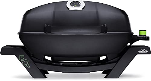 Napoleon Propane Gas Grill