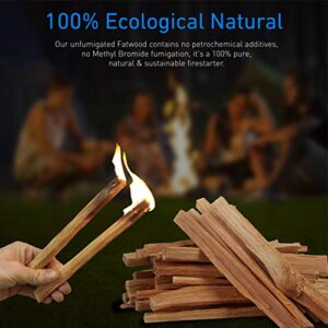 Eco-Stix Fatwood Fire Starter Kindling Firewood Sticks – 100% Organic – Firestarter for Wood Stoves, Fireplaces, Campfires, Bonfires, 25 Lbs