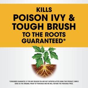 Roundup Ready-To-Use Poison Ivy Plus Tough Brush Killer, for Weeds, Grass, Stumps and Vines, Trigger Sprayer, 1 gal