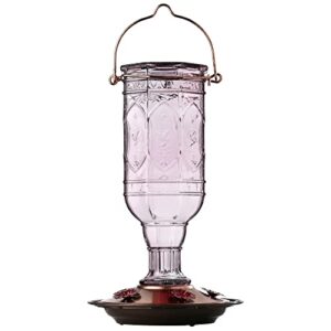 more birds amethyst jewel hummingbird feeder, glass hummingbird feeders for outdoors, 5 feeding stations, 20 ounces