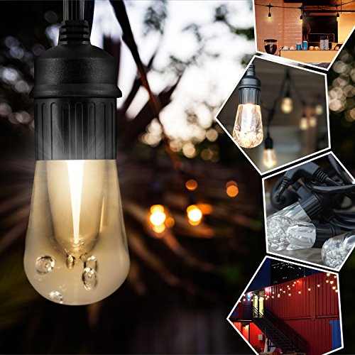 Enbrighten Premium Warm White String Lights, 48ft Black Cord, 24 Shatterproof Acrylic Bulbs, Weatherproof, Outdoor String Lights, 35631