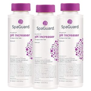 spaguard ph increaser (18 oz) (3 pack)