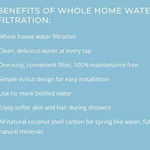 Filtersmart Whole House Water Filter System & Salt Free Water Softener Combo, Filters Chlorine & Sediment Filtration for 1-3 Baths, 12 GPM, 1 Million Gallons