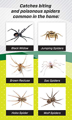 RESCUE! Spider Traps – Catches Brown Recluse, Hobo Spiders, Black Widows & Wolf Spiders – 3 Traps