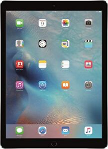 apple ipad pro 12.9in tablet (256gb wi-fi + 4g, space gray )(renewed)