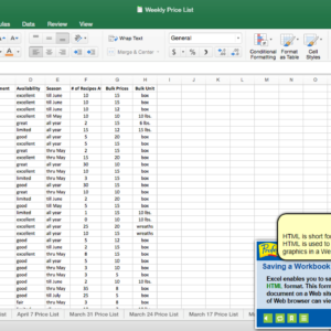 Professor Teaches Excel 2016 - Mac [Download]