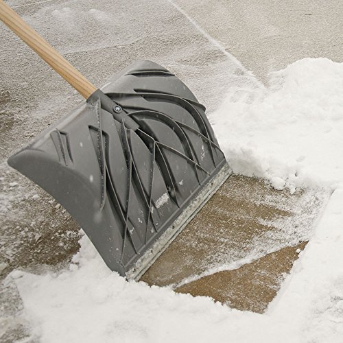 A.M. Leonard Snow Shovel with Steel Wear Strip, D-Grip, 18-inches Wide