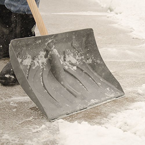 A.M. Leonard Snow Shovel with Steel Wear Strip, D-Grip, 18-inches Wide