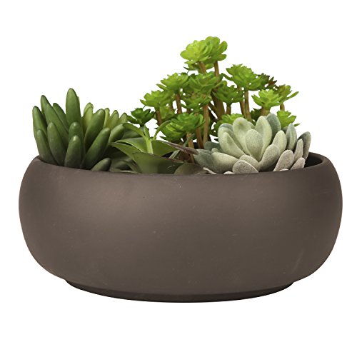 MyGift 7 Inch Round Unglazed Brown Ceramic Plant Pot with Drainage Hole, Small Shallow Planter Bowl for Succulent, Cactus and Fillers