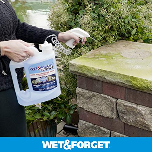 Wet & Forget Outdoor Moss, Mold, Mildew, & Algae Stain Remover Multi-Surface Cleaner, Ready to Use, 64 Ounce