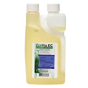 rockwell labs evec016 ecovia ec botanical pesticide-16oz