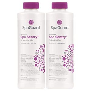 spaguard spa sentry (1 qt) (2 pack)