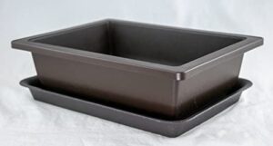 rectangular plastic bonsai training pot, cactus & succulent planter + tray 10"x 7.5"x 3" - dark brown